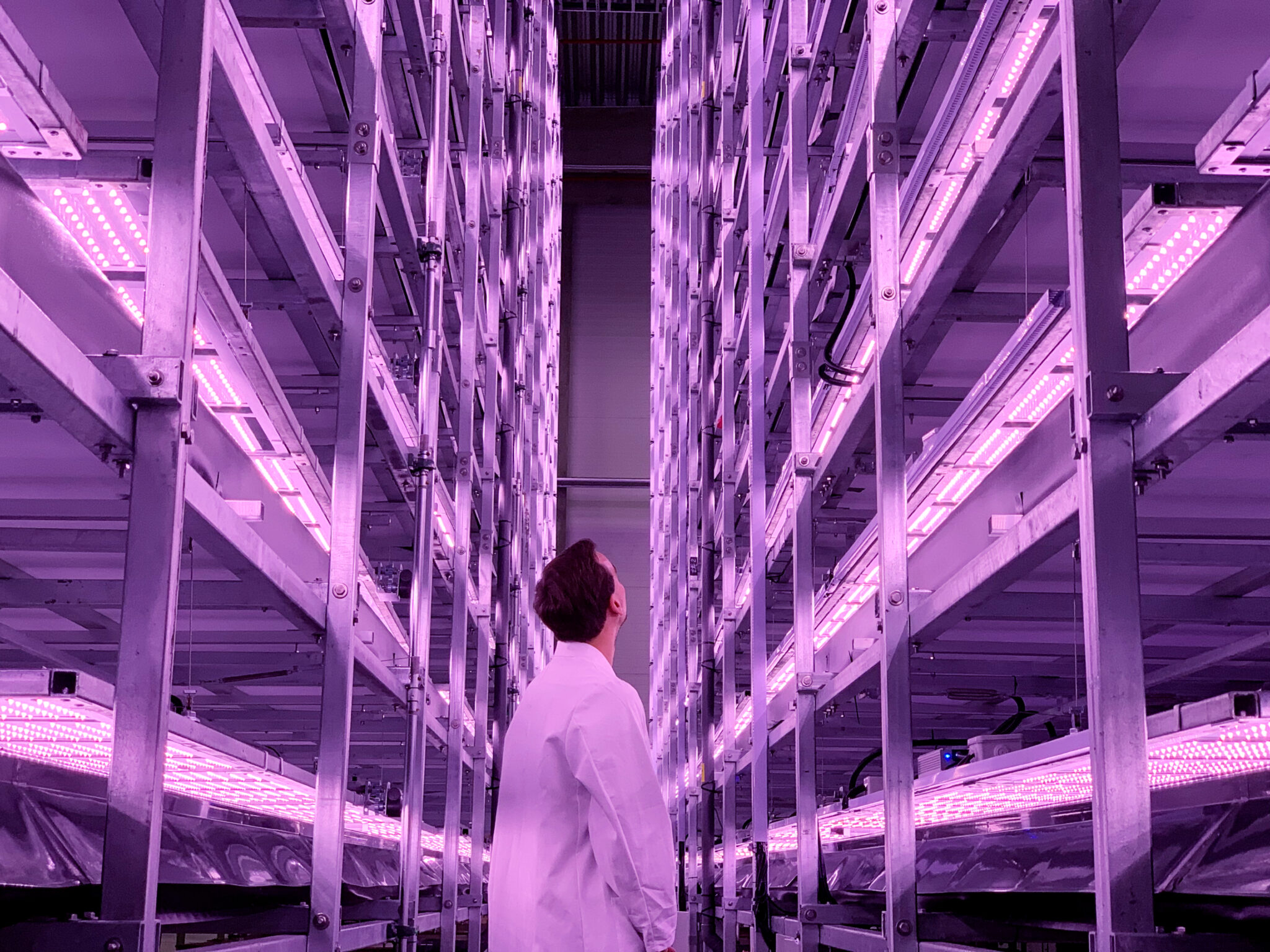 Leafood - Vertical Farm